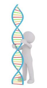 Genam | projet-histoire.com